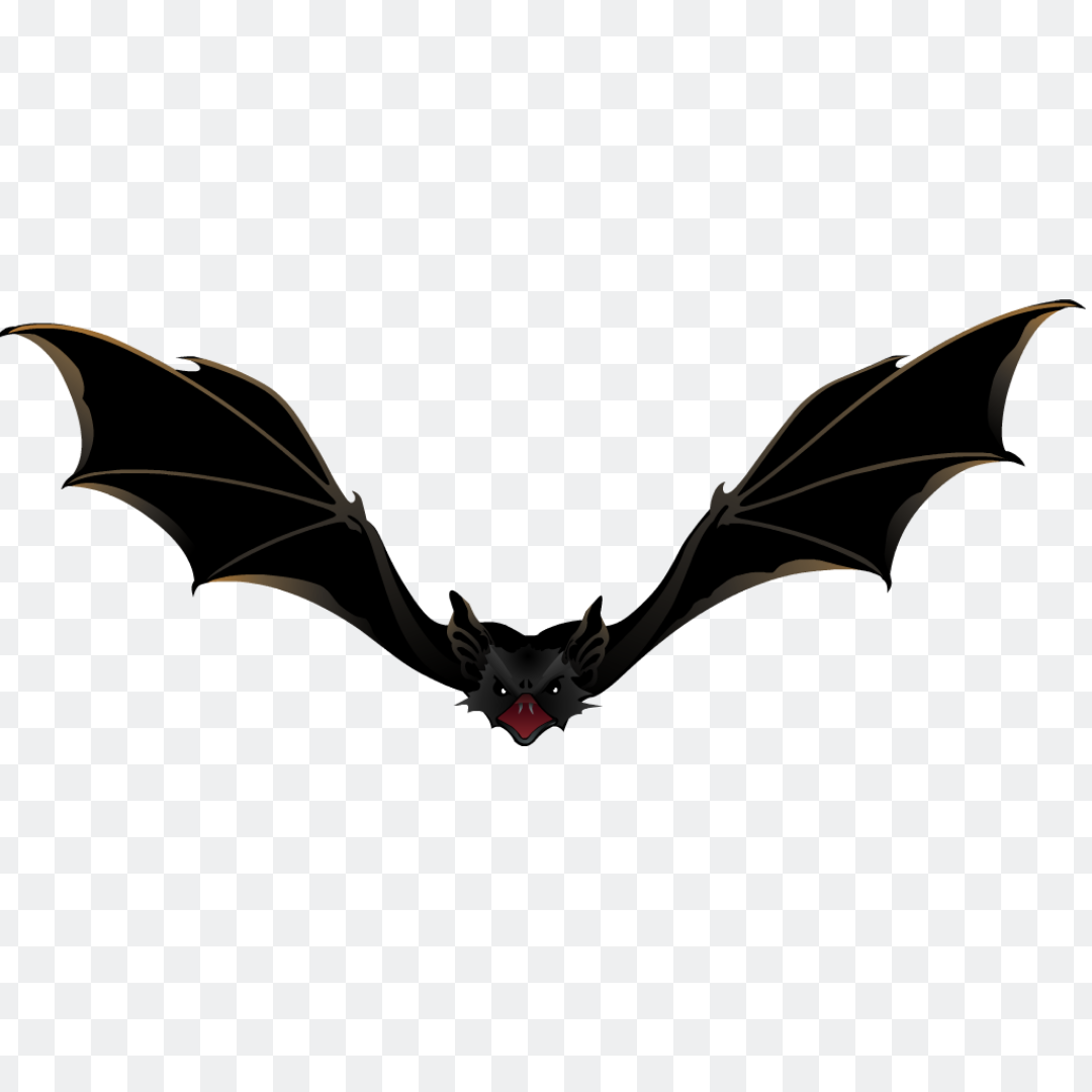 Bat PNG Transparent Images Free Download | Fotor