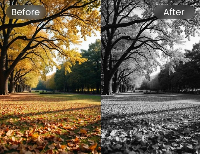 Free Online Grayscale Image Converter | Fotor