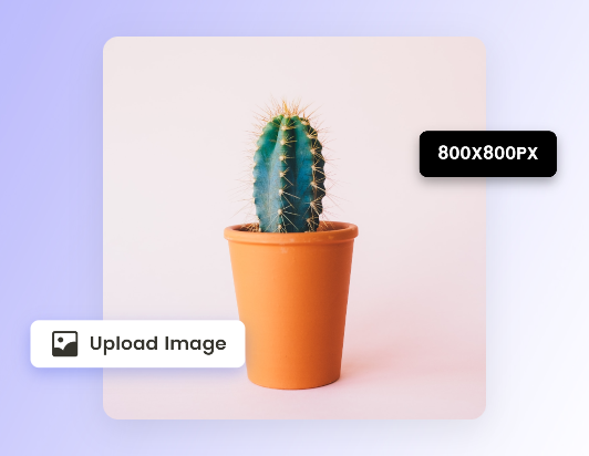 3000×3000 Image Converter: Resize Image to 3000×3000 Pixels Online Free ...