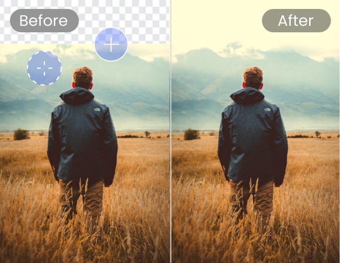 Clone Stamp Tool Online for Free | Fotor