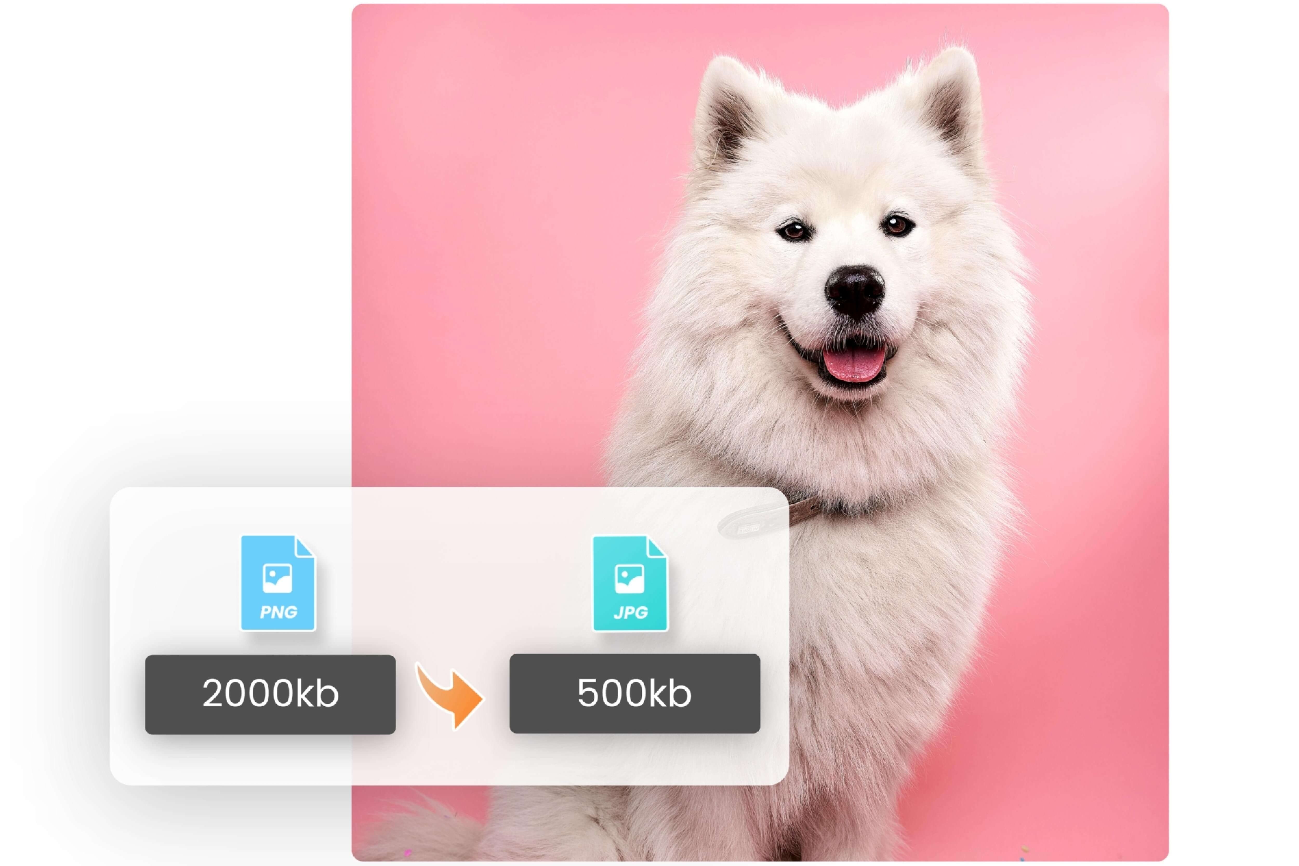 PNG ke JPG: Ubah PNG ke JPG Online secara Gratis | Fotor