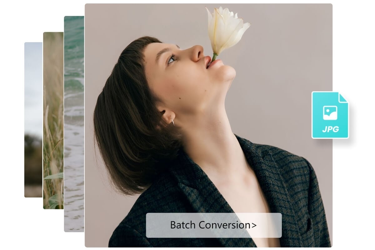 PNG ke JPG: Ubah PNG ke JPG Online secara Gratis | Fotor