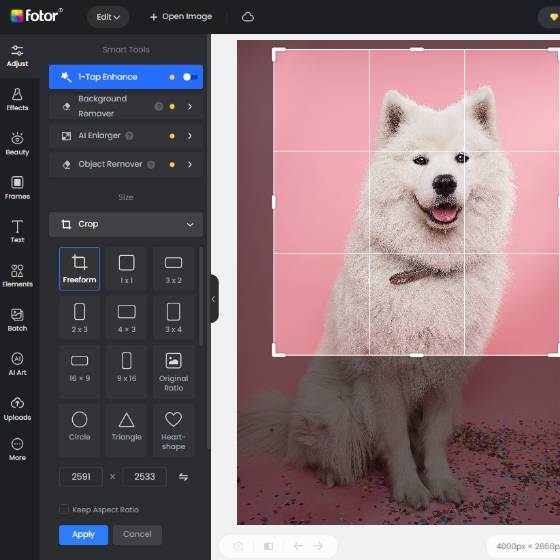 3 Simple Ways on How to Convert Image to JPEG Format | Fotor
