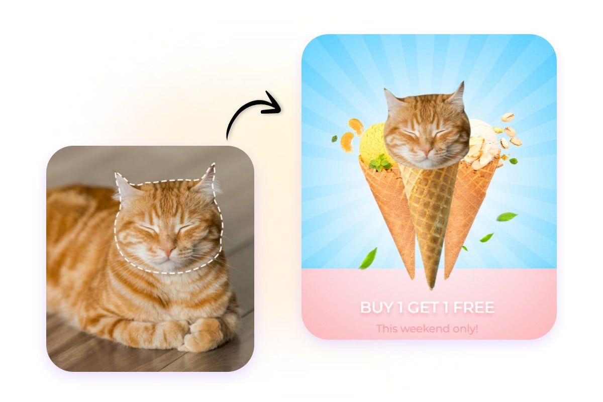 Gesicht ausschneiden online & kostenlos | Fotor