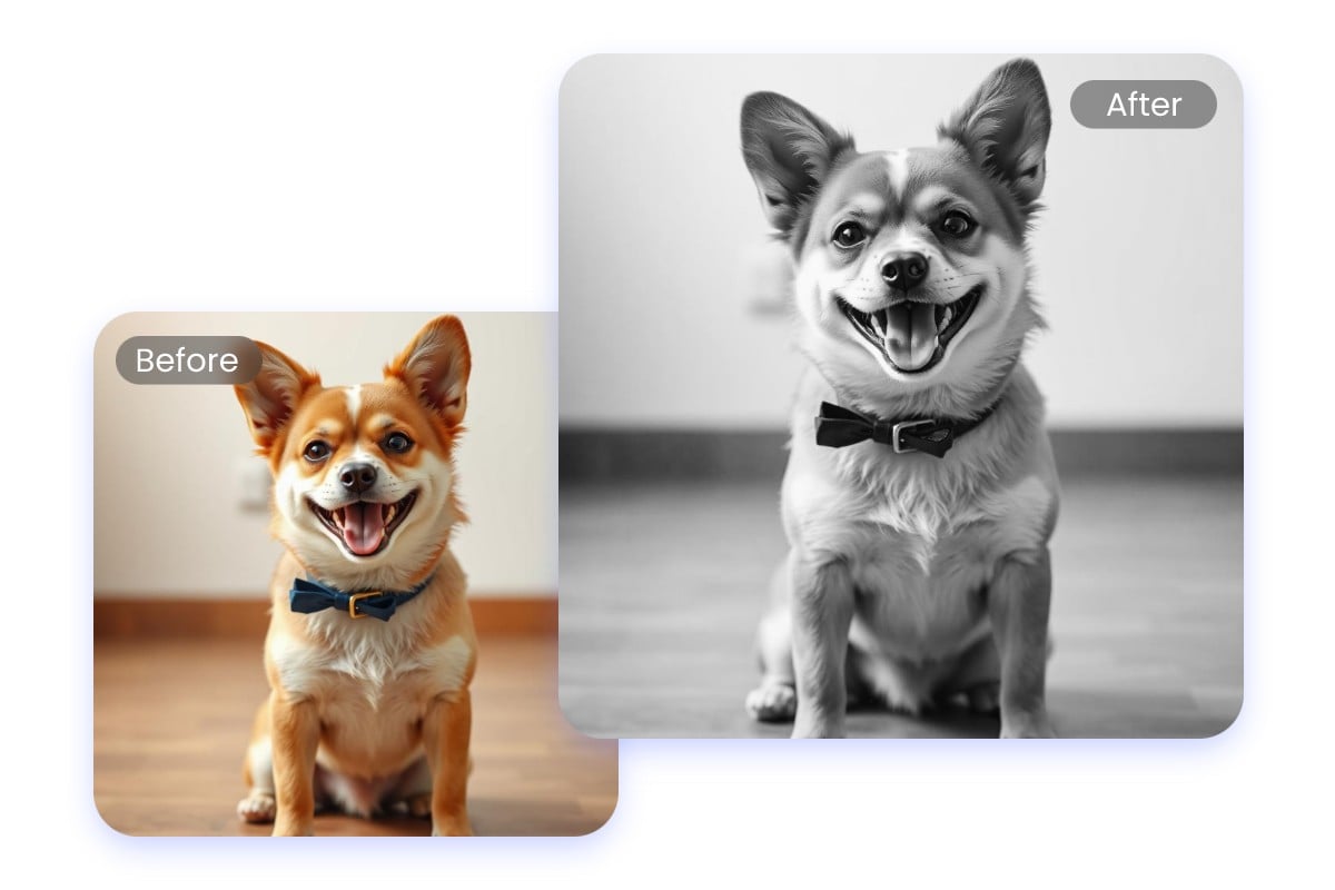 Free Online Grayscale Image Converter | Fotor