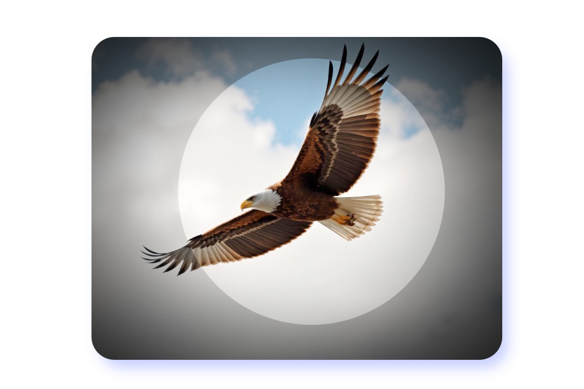 Free Vignette Effect Online - Create Your Vignette Photo | Fotor