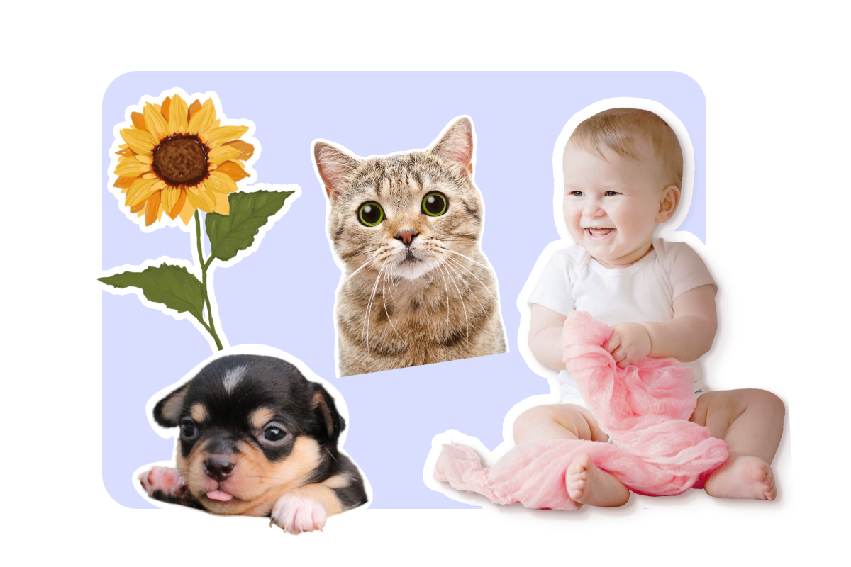 Outline Pictures to Standout Your Design | Fotor Outline Pictures to Standout Your Design | Fotor