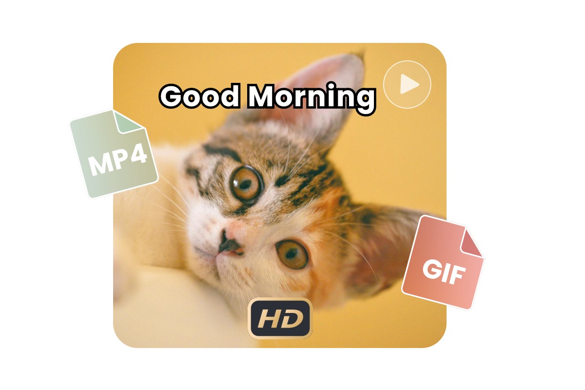 AI Meme Video Generator Online | Fotor