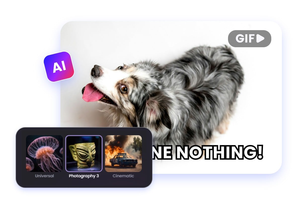 GIF Meme Generator Online: Make Animated GIFs | Fotor GIF Meme Generator Online: Make Animated GIFs | Fotor