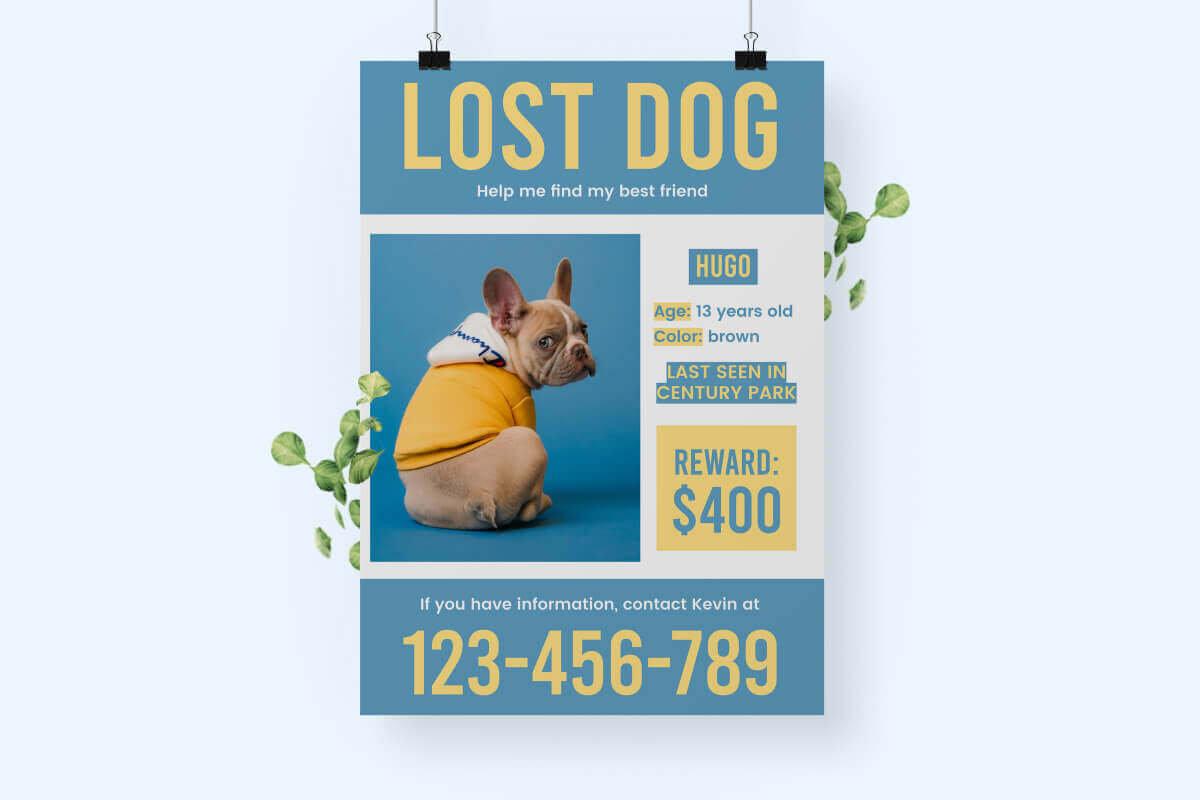 Lost Dog Poster Maker Free To Create Lost Dog Poster Quickly With Fotor