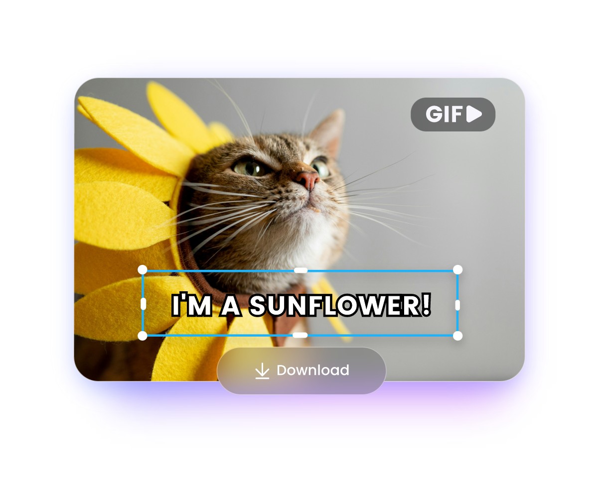 GIF Meme Generator Online: Make Animated GIFs | Fotor GIF Meme Generator Online: Make Animated GIFs | Fotor